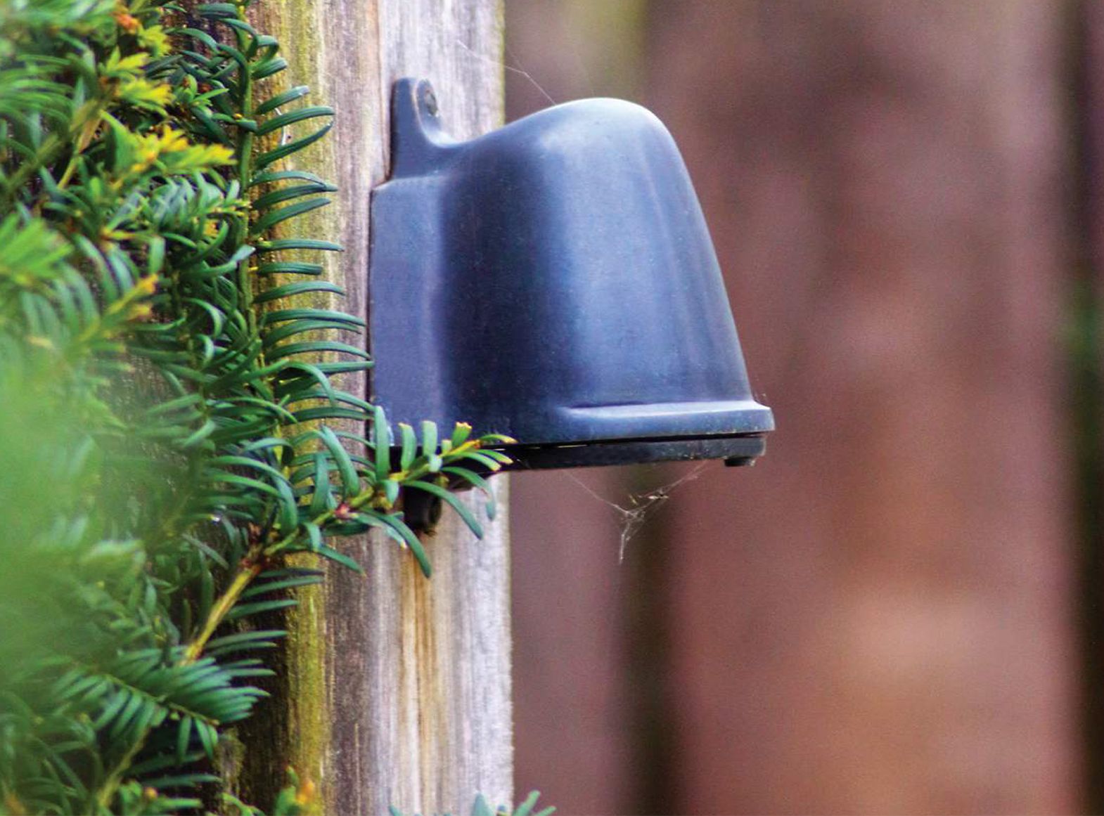 Balume Wall (bulb not included)